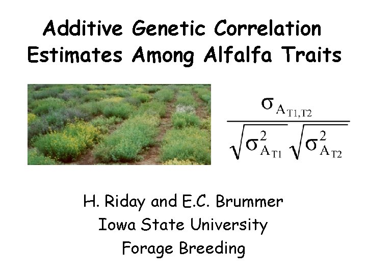 Additive Genetic Correlation Estimates Among Alfalfa Traits H