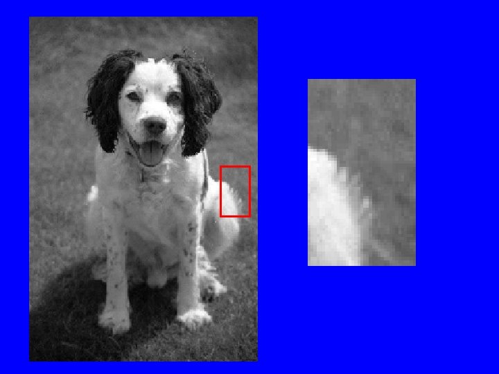 Boundary Detection Edges Boundaries of objects Usually different