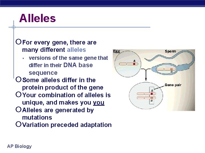 Beyond Mendels Laws of Inheritance AP Biology 2006