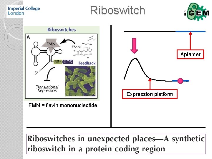 Key Concepts of Synthetic Biology The Central Dogma