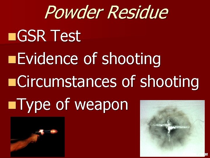 Physical Evidence bsapp com Types of Analysis n