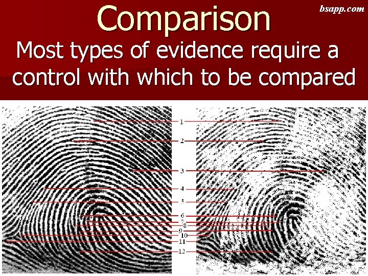 Physical Evidence bsapp com Types of Analysis n