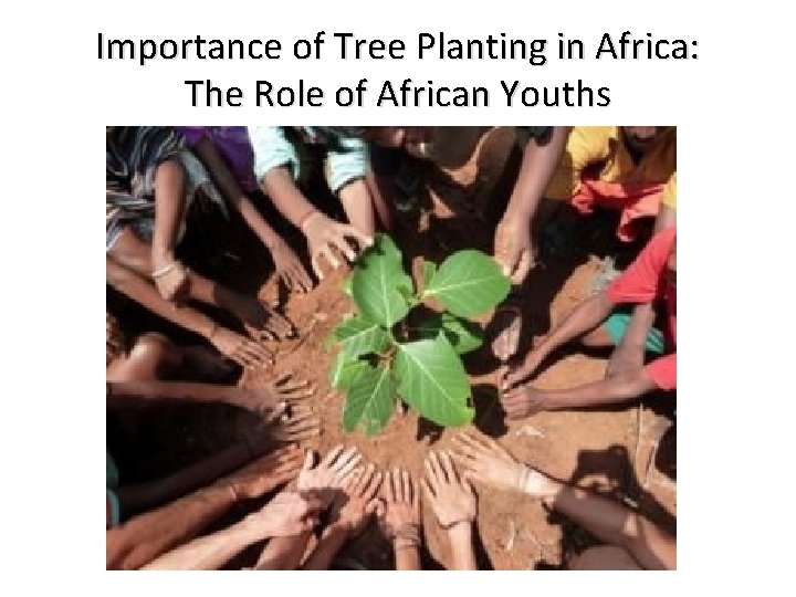 Importance of Tree Planting in Africa The Role