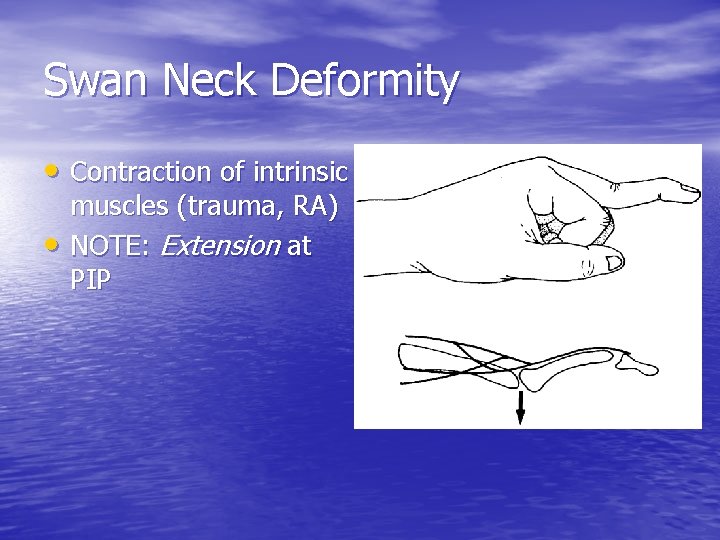 OBJECTIVES Review the clinical anatomy and physical exam