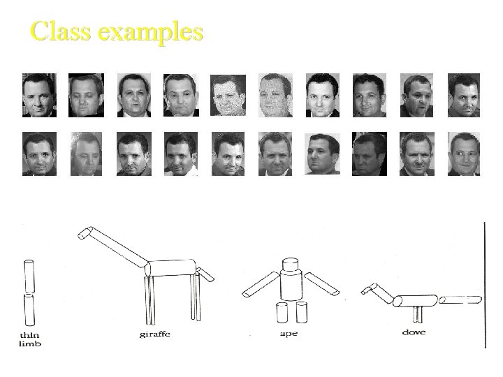 Venus Classification Faces Different Faces Same Lighting affects