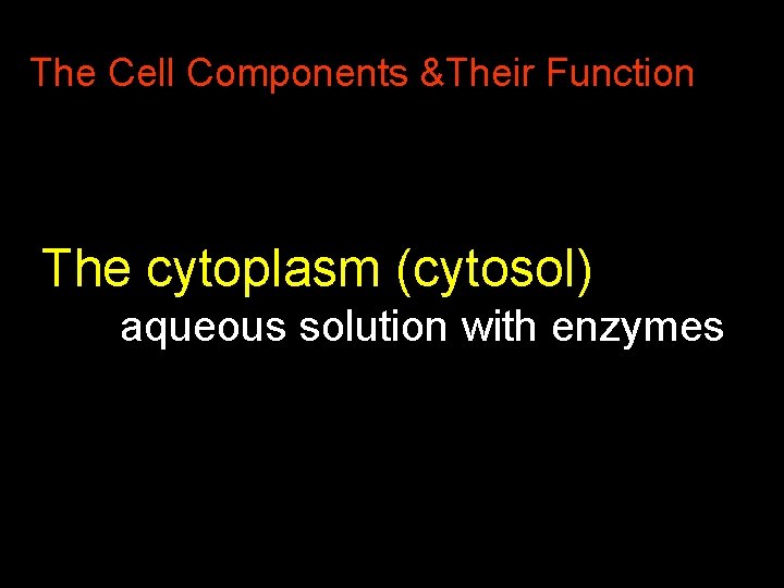 General Pathology of Organels Introduction Jaroslava Dukov The