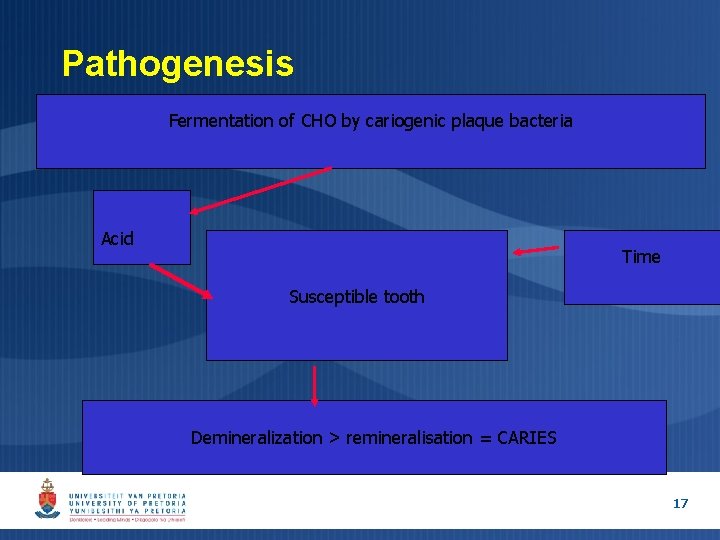 The importance of Oral Health ORAL HEALTH Promotion