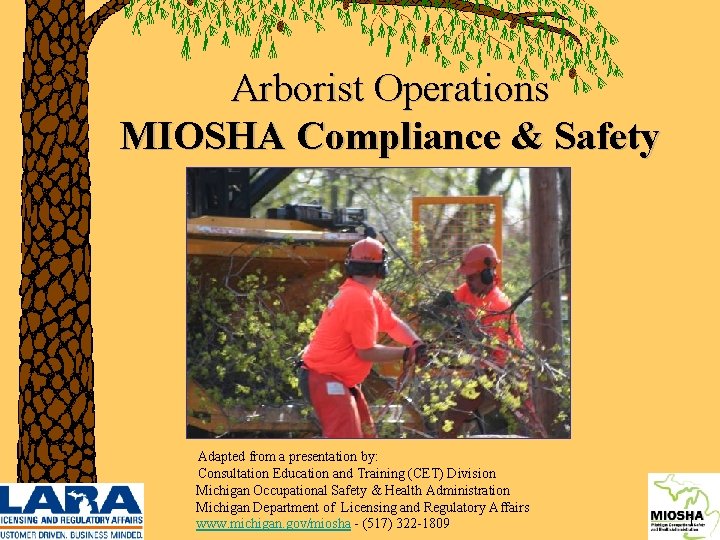 Arborist Operations MIOSHA Compliance Safety Adapted from a