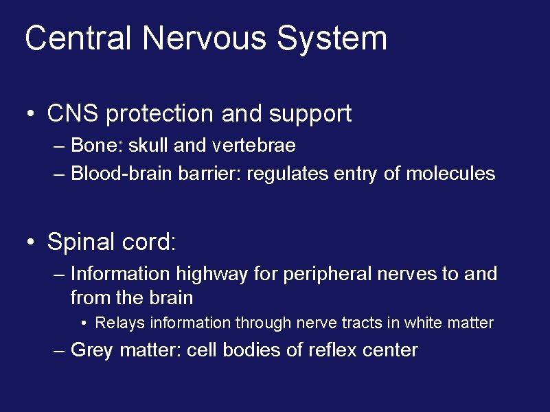 Chapter 8 The Nervous System The Nervous System