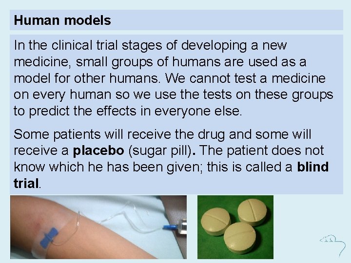 Developing medicines Learning objectives Know the stages of