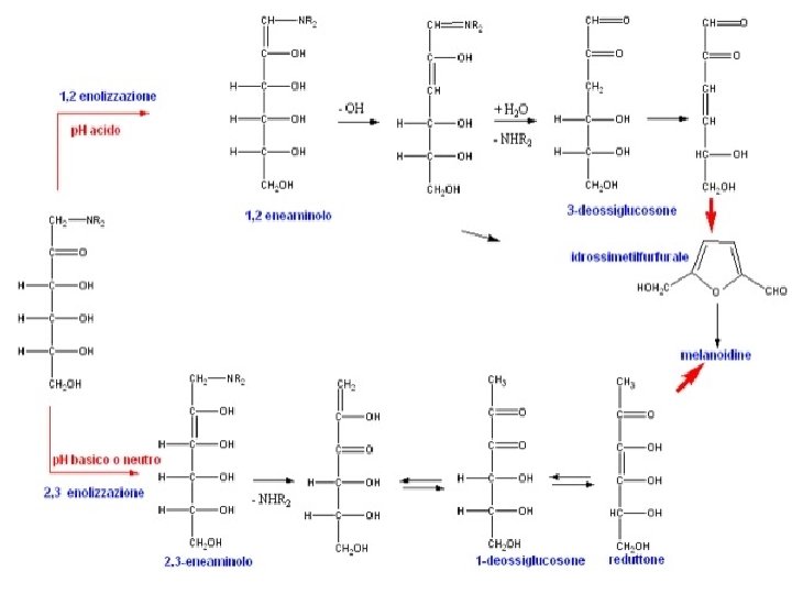 La reazione di Maillard Grafico di Labuza aw