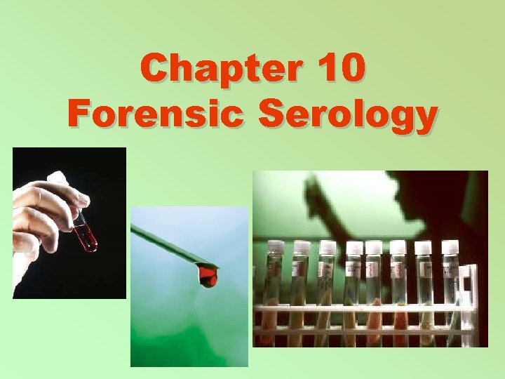Chapter 10 Forensic Serology 6 2 Blood as