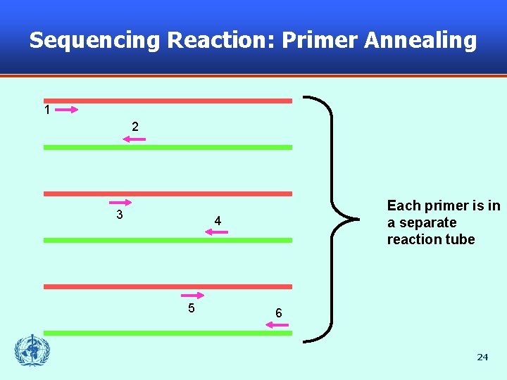 HIV Drug Resistance Training Module 3 Principles of