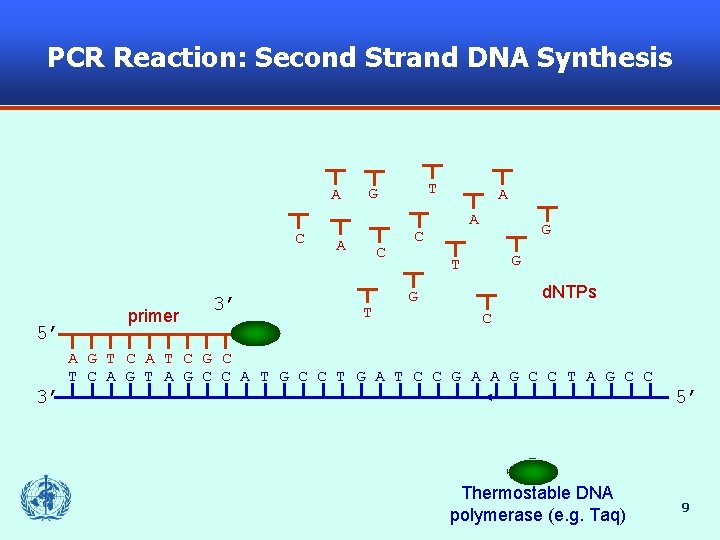 HIV Drug Resistance Training Module 3 Principles of