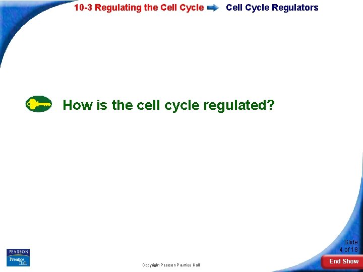 10 3 Regulating the Cell Cycle Slide 1