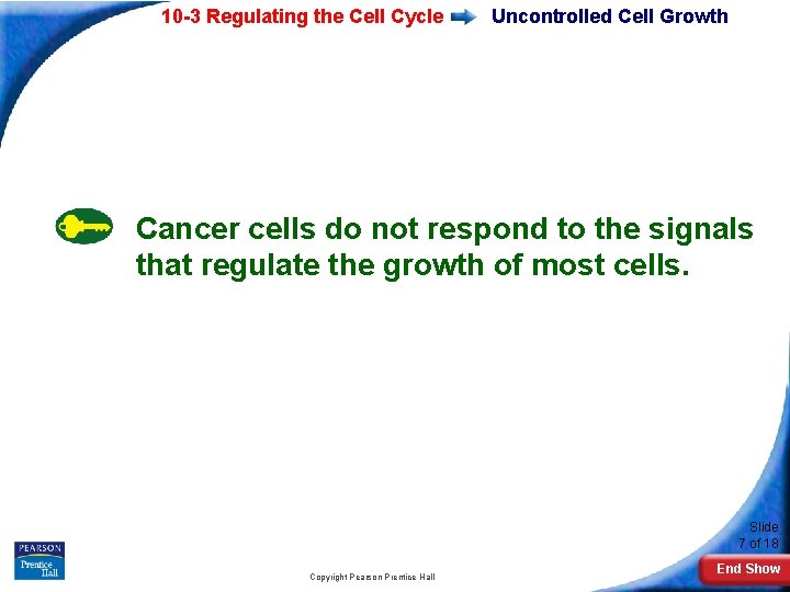 10 3 Regulating the Cell Cycle Slide 1