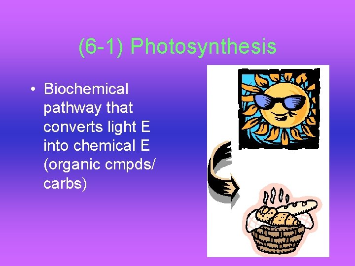Photosynthesis Ch 6 6 1 Photosynthesis Biochemical pathway