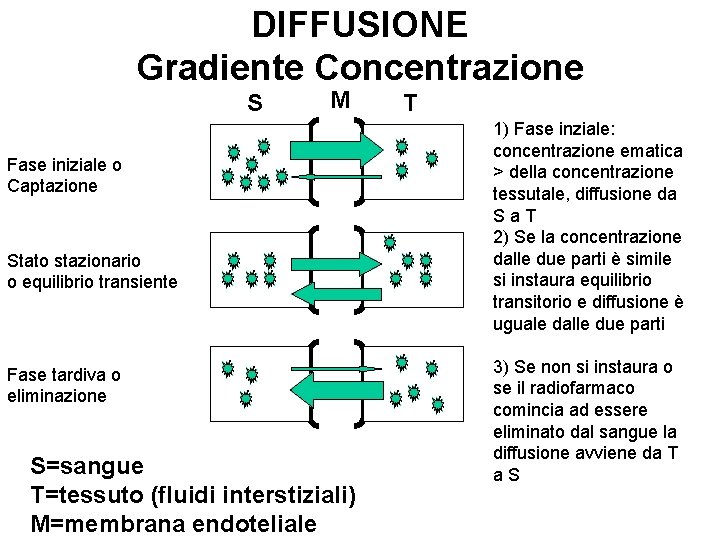 RADIOFARMACI I radiofarmaci e mezzi di contrasto attualmente