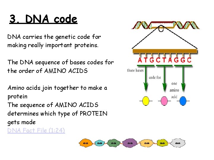 Biology DNA RNA Proteins Genetic Engineering DNA Learning