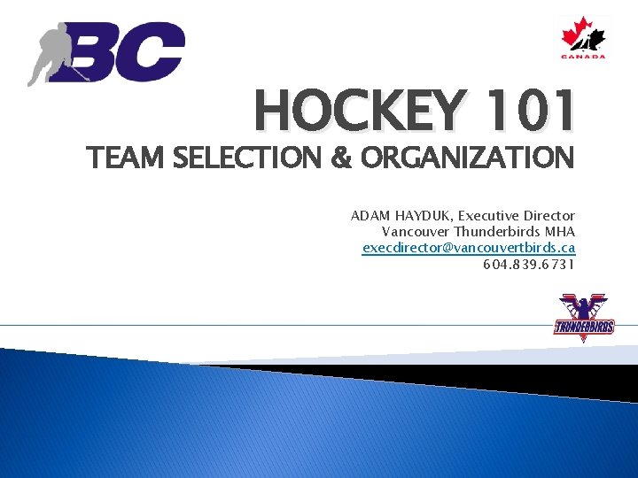 HOCKEY 101 TEAM SELECTION ORGANIZATION ADAM HAYDUK Executive