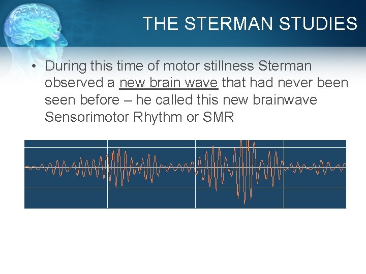 Brain Core Therapy The Evolution of Brain Based
