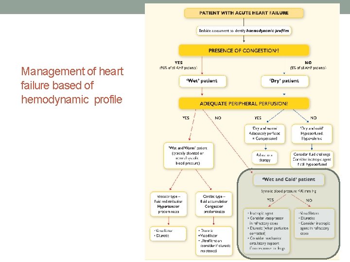 ACUTE HEART FAILURE Yu Jin Kim Department of