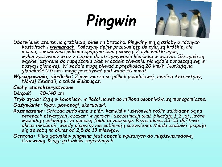 Zwierzta yjce na ANKTARTYDZIE i w ARKTYCE ANKTARKTYDA