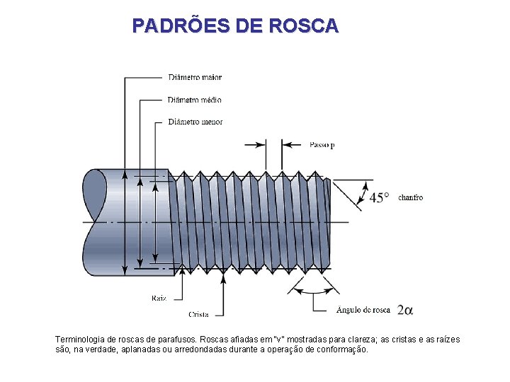 PARAFUSOS Prof Alexandre Augusto Pescador Sard Prof Walter