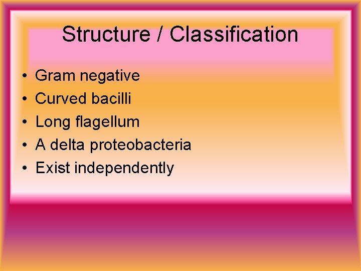 Bdellovibrio Bacteriovorus By Drew Skidmore Structure Classification Gram