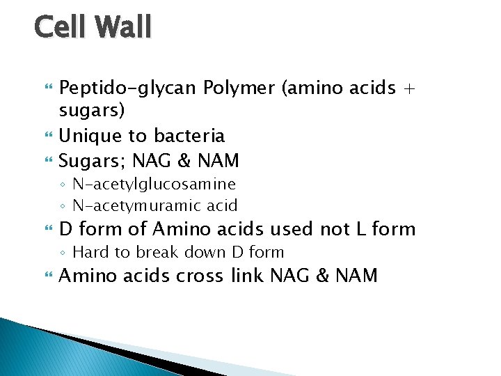 Bacterial Cell Structure Function Dr QuratUlAin Department Of