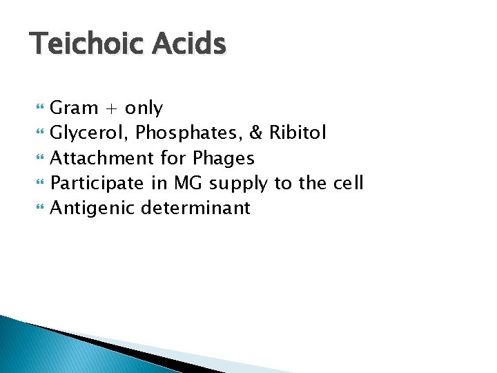 Bacterial Cell Structure Function Dr QuratUlAin Department Of