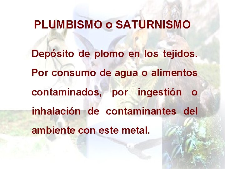 ALTERACIN DE LOS PIGMENTOS PATOLOGA GENERAL VETERINARIA INTRODUCCIN