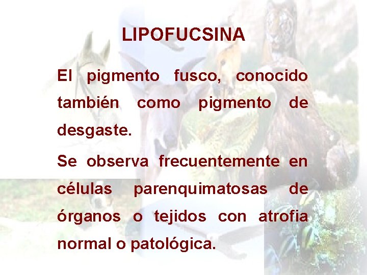ALTERACIN DE LOS PIGMENTOS PATOLOGA GENERAL VETERINARIA INTRODUCCIN
