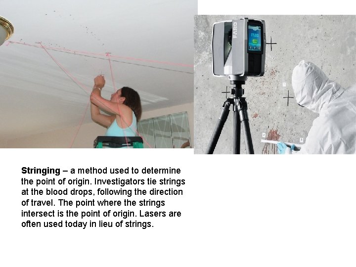 Forensic Science Lab Activity Warning Some material in