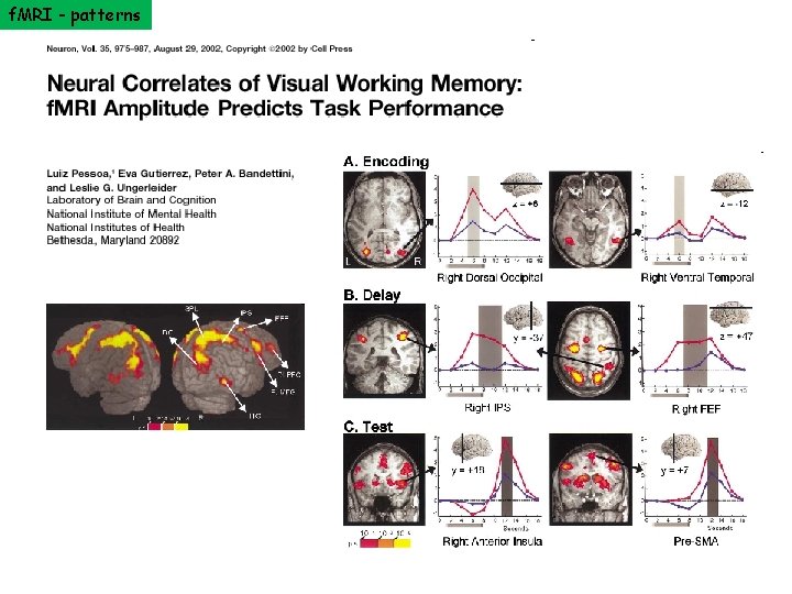 Magnetic Resonance Methods for Functional and Anatomical Neuroimaging