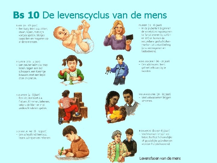 Thema 2 Voortplanting en ontwikkeling Mensen planten zich