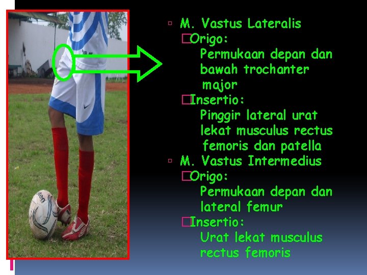 ANALISIS GERAKAN MENENDANG BOLA OLEH KELOMPOK 12 Origo