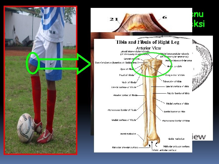 ANALISIS GERAKAN MENENDANG BOLA OLEH KELOMPOK 12 Origo