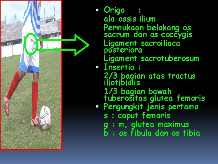ANALISIS GERAKAN MENENDANG BOLA OLEH KELOMPOK 12 Origo