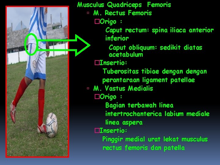ANALISIS GERAKAN MENENDANG BOLA OLEH KELOMPOK 12 Origo