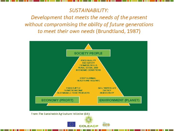 Sustainability Standards Morag Webb Policy Advisor Coleacp 2