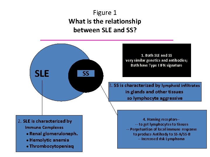 Figure 1 What is the relationship between SLE