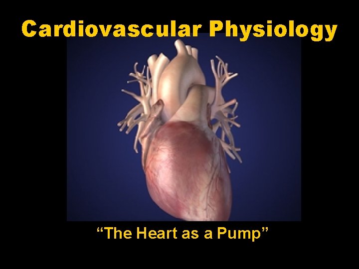 Cardiovascular Physiology The Heart as a Pump copyright