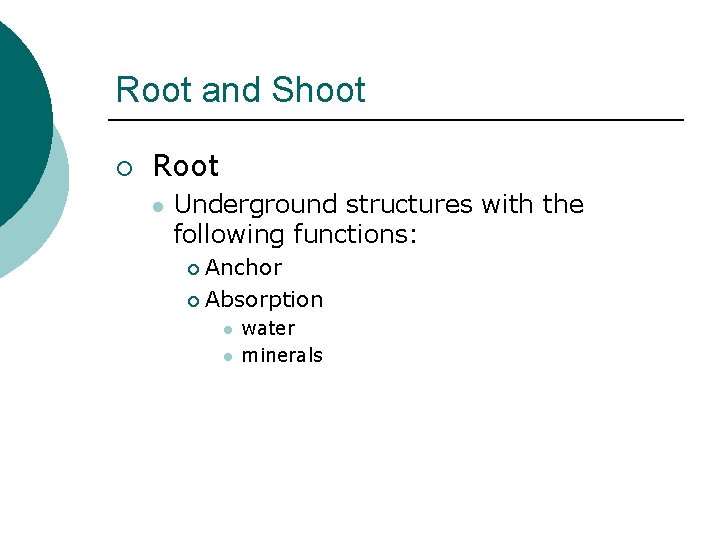 Plant Structure Root and Shoot Root l Underground