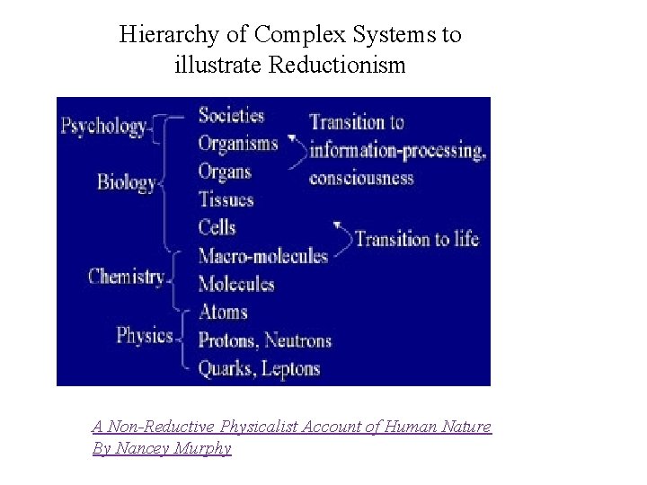 Philosophy of Neuroscience Neuroscience Created in the 1960