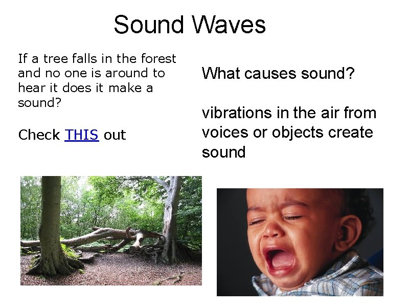 Sound Waves If a tree falls in the