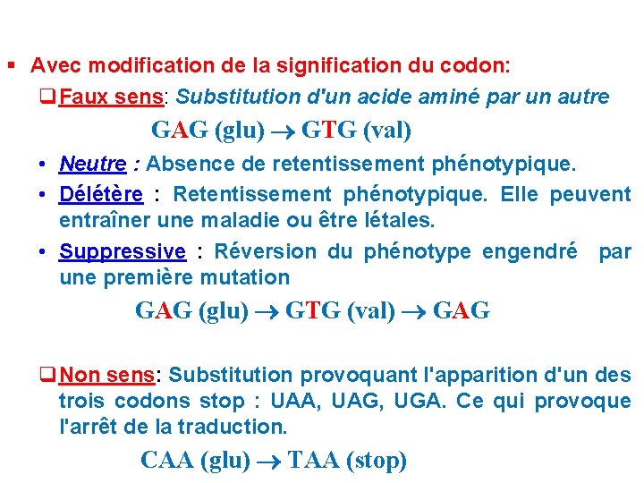Les mutations I Introduction II Principales mutations 1