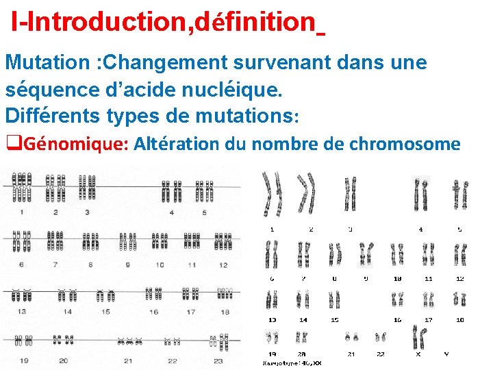 Les mutations I Introduction II Principales mutations 1