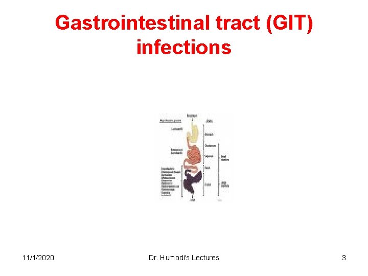 Bacterial Gastrointestinal tract GIT infections By Dr Humodi