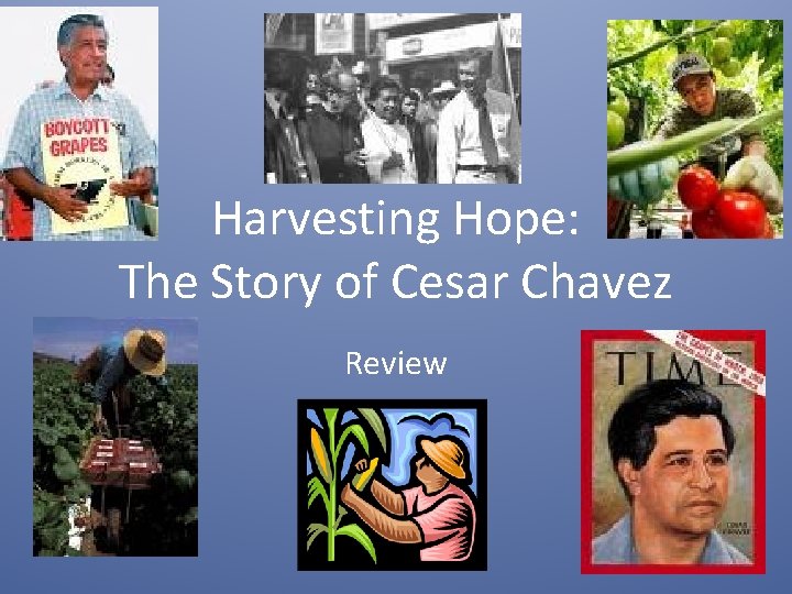 Harvesting Hope The Story of Cesar Chavez Review